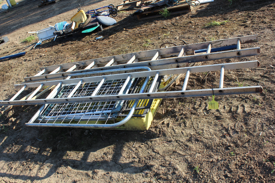 Lot 91 - Ladders & Gates | AuctionsPlus