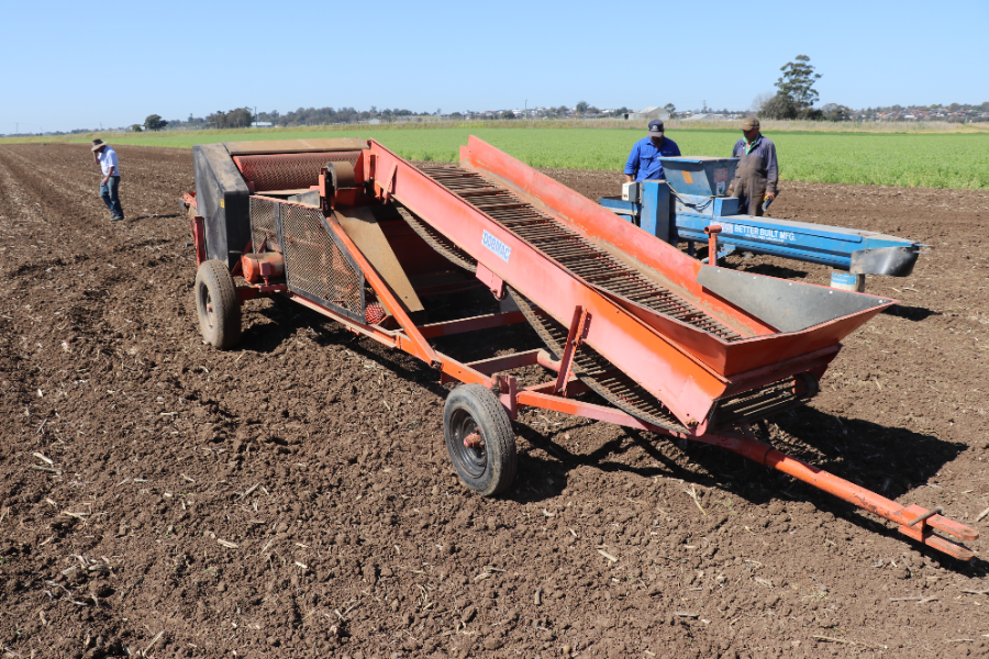 Lot 14 - Milestone potato seed cutter | AuctionsPlus