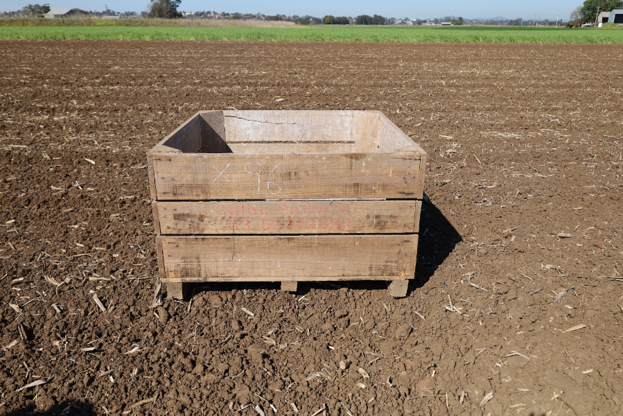 Lot 25 - 10 x Pine Vegetable boxes 1200mm X 1200mm 600mm. Made by Colac ...