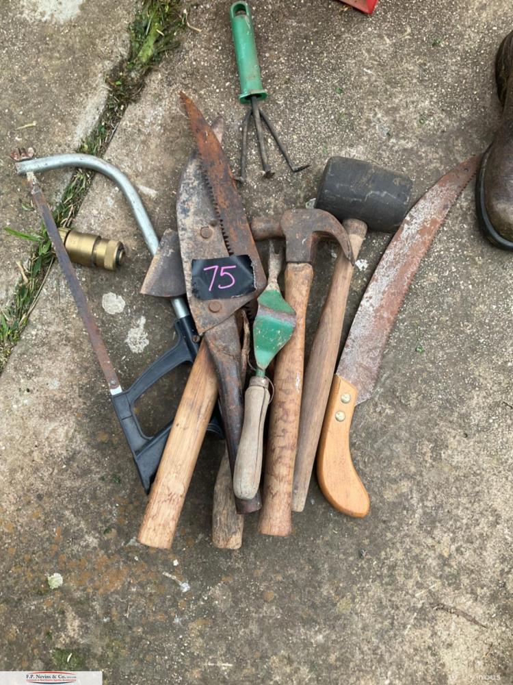 Lot 75 - VARIOUS ASSORTED HAND TOOLS | AuctionsPlus