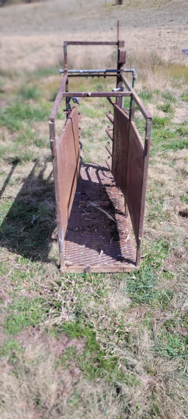 Lot 83 - Sheep Jetting Race | AuctionsPlus