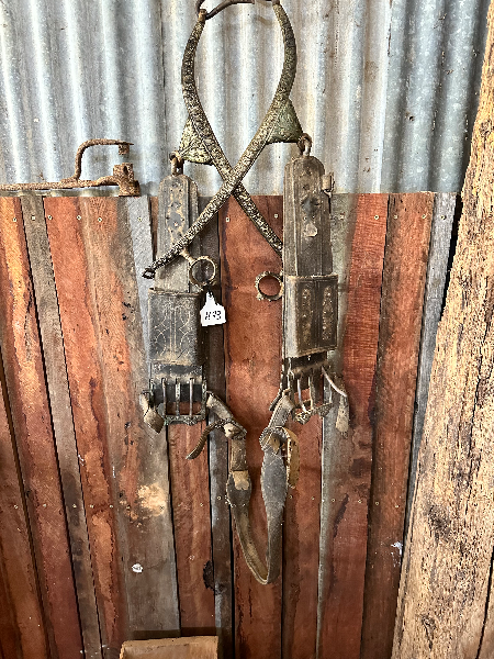 Lot 174 - SET OF ORNATE HAMES. | AuctionsPlus