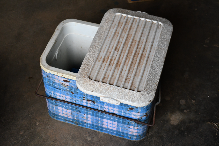 Lot 223 - Vintage Esky & ice bricks | AuctionsPlus