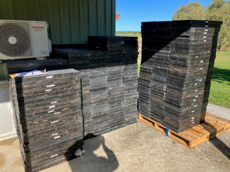 Lot 70 - 3 x pallets of 196 cell seedling trays 372 trays in total ...