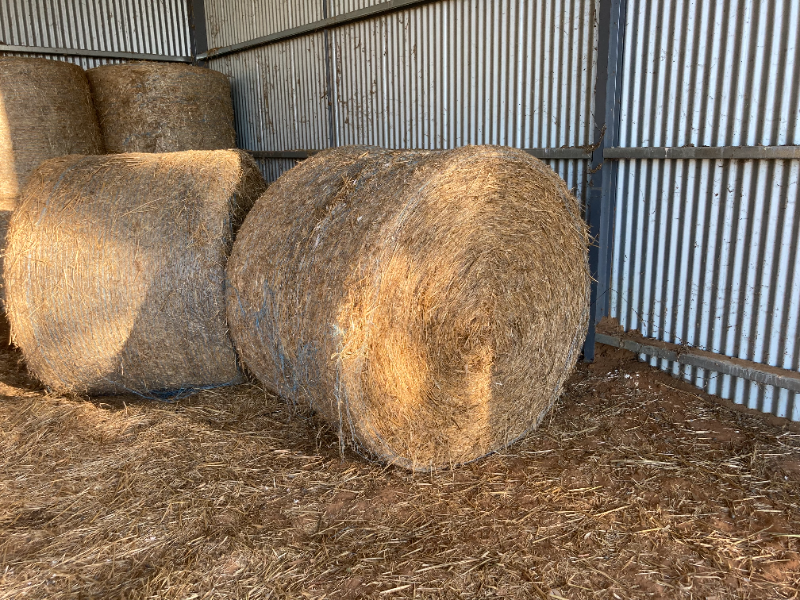 Lot 40 - 5x Round Clover Hay Bales | AuctionsPlus