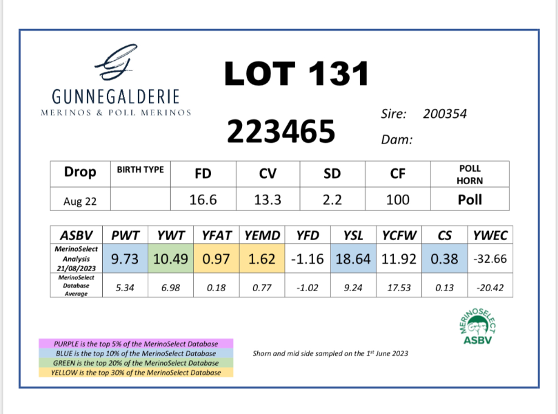 Lot 131 - Tag 223465 | AuctionsPlus