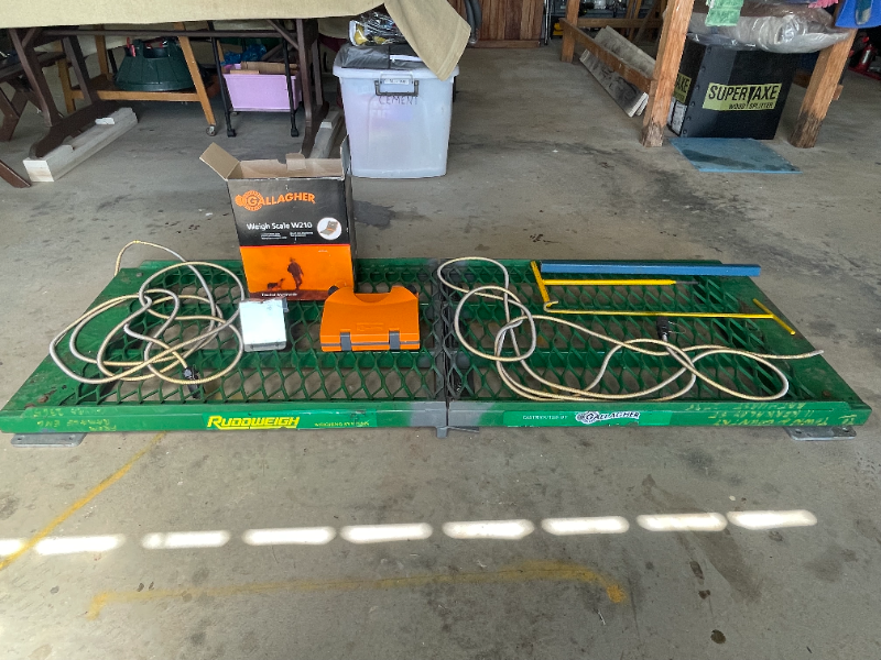 Lot 30 - Gallagher Scales and Platform | AuctionsPlus