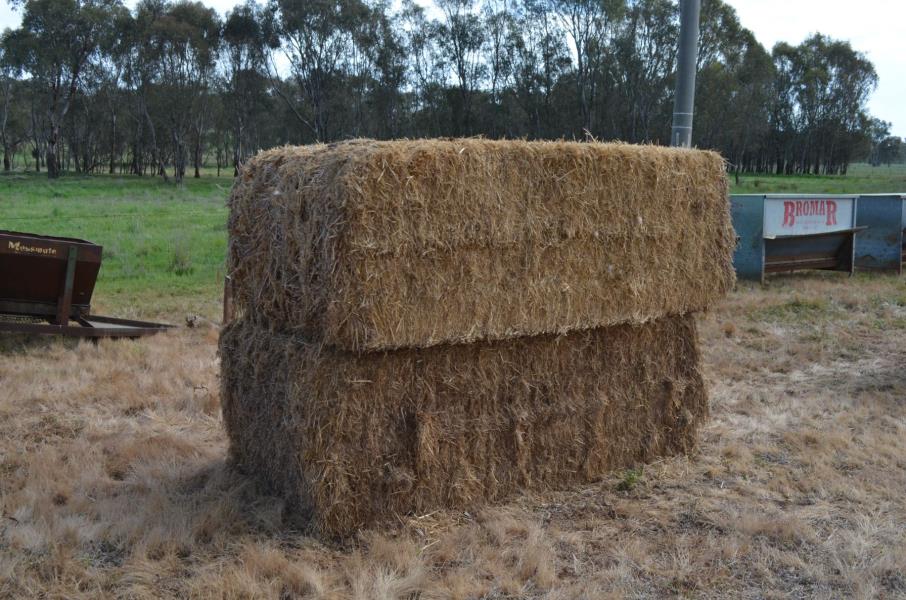 Lot 235 - Large Square Bales | AuctionsPlus