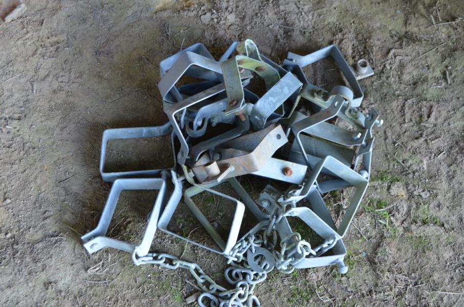 Lot 137 - Post Stay Catches | AuctionsPlus