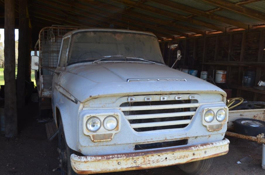 Lot 44 - 575 Dodge truck, V8 petrol, 16ft tray | AuctionsPlus
