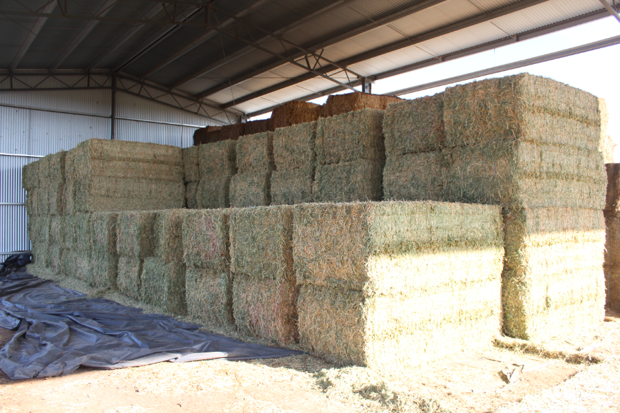 Lot 32 - 35x Bales of New Season Pea Hay | AuctionsPlus