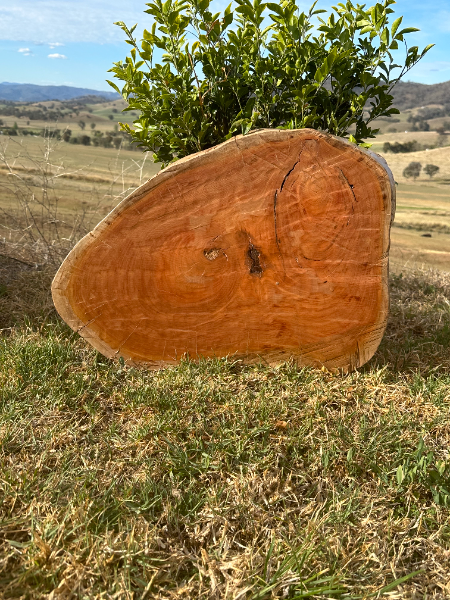 Lot 4 - Timber cheese board | AuctionsPlus