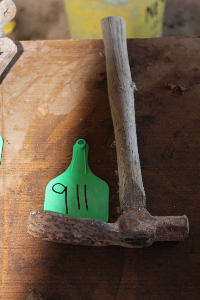 Lot 911 - Rabbit Trap Setter | AuctionsPlus