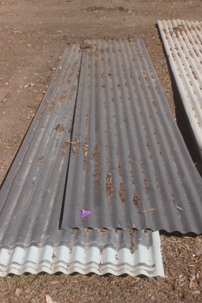 Lot 339 - Colorbond Corrugated Iron Sheets x8 | AuctionsPlus