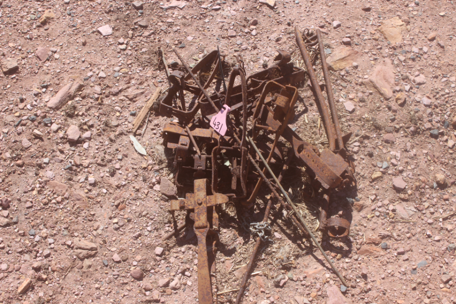 Lot 431 - Rabbit Traps | AuctionsPlus