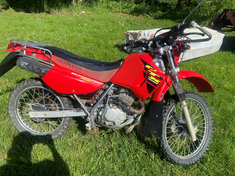 Lot 42 - Honda CTX 200 Bushlander AG Motorbike | AuctionsPlus