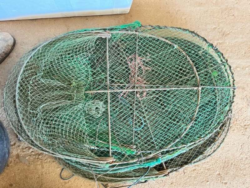 Lot 329 - Opera House Nets | AuctionsPlus