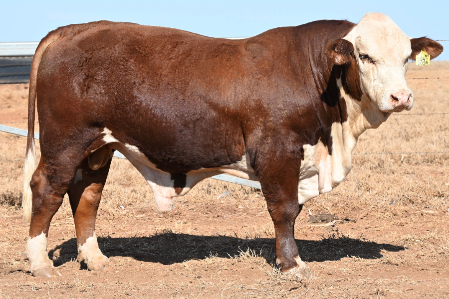 Lot 43 - Winvic WINS035 (P) P122536 | AuctionsPlus