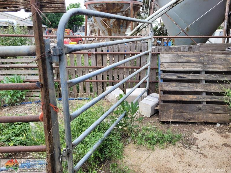 Lot 63 - 2.4m Self Latching Cattle Yard Gate (40mm Pipe) | AuctionsPlus
