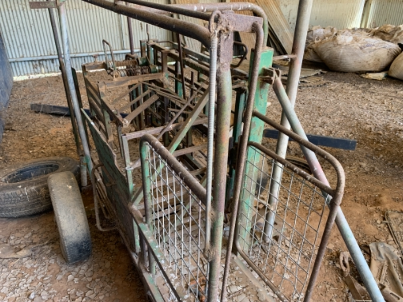 Lot 36 - HAMILTON SHEEP HANDLER | AuctionsPlus