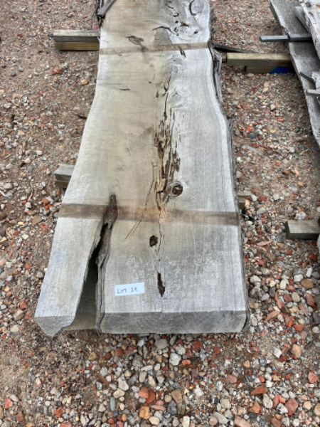 Lot 19 - Timber Slab | AuctionsPlus