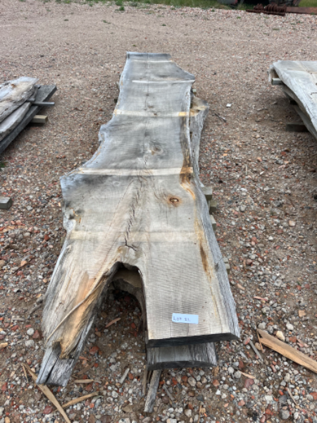 Lot 21 - Timber Slab | AuctionsPlus