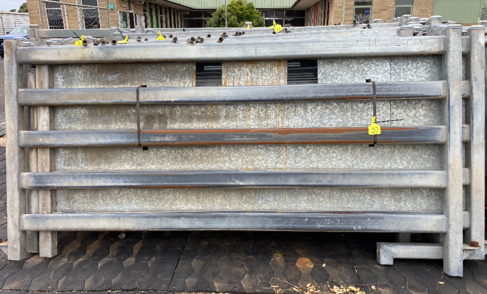Lot 41 - Bull Panels | AuctionsPlus