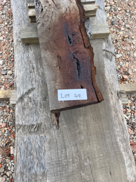 Lot 49 - Timber Slab | AuctionsPlus