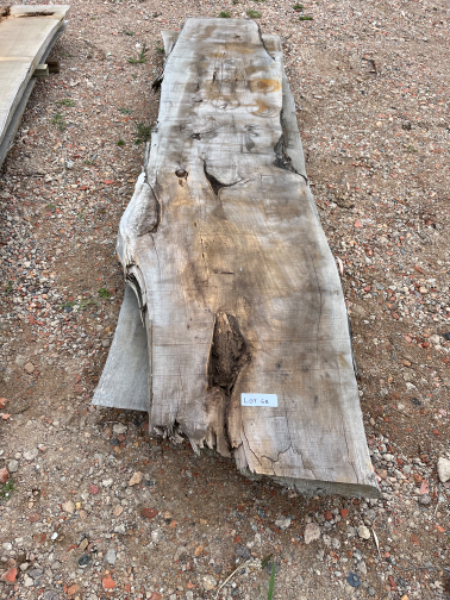 Lot 68 - Timber Slab | AuctionsPlus