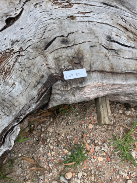 Lot 82 - Timber Slab | AuctionsPlus