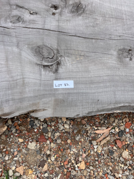 Lot 83 - Timber Slab | AuctionsPlus