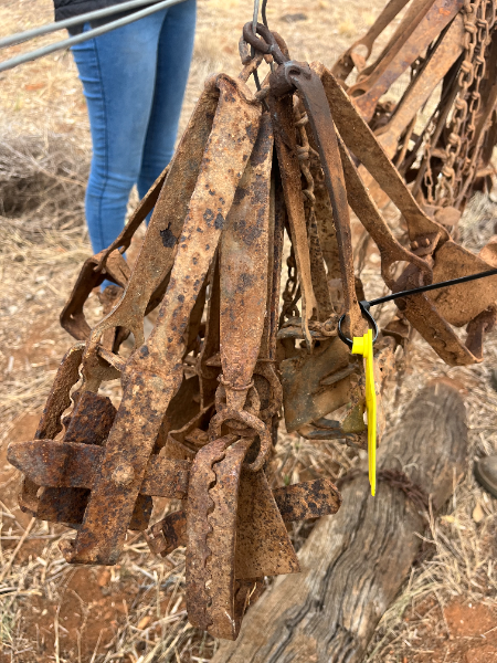 Lot 347 - Rabbit Traps | AuctionsPlus