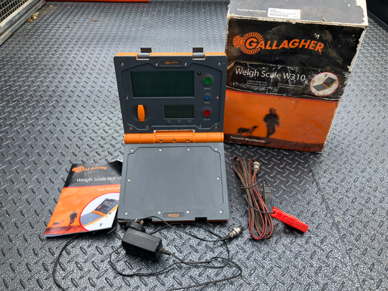Lot 52 - Gallagher Weigh Scale | AuctionsPlus