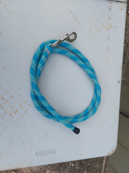 Lot 205 - Aqua Blue Lead Rope | AuctionsPlus