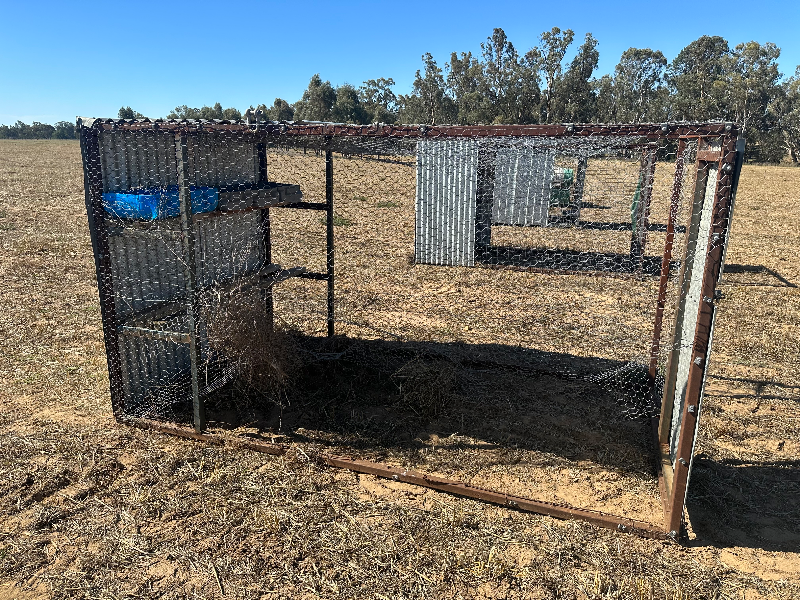 Lot 129 - Chook Cage | AuctionsPlus