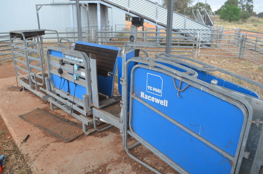 Lot 256 - Te-Pari HD3 Sheep Handler | AuctionsPlus