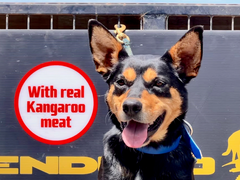 Lot 2 - GOGETTA MOVE | AuctionsPlus