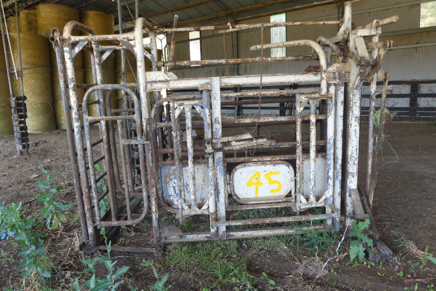 Lot 51 - CATTLE CRUSH | AuctionsPlus