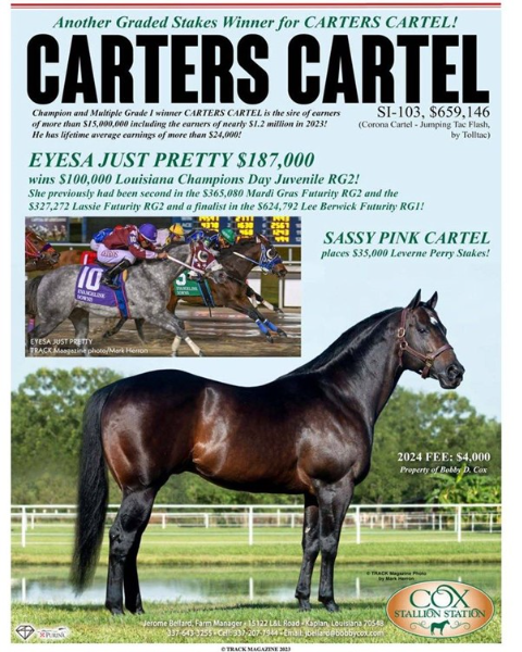 Lot 2A - 1 STALLION BREEDING - CARTERS CARTEL | AuctionsPlus