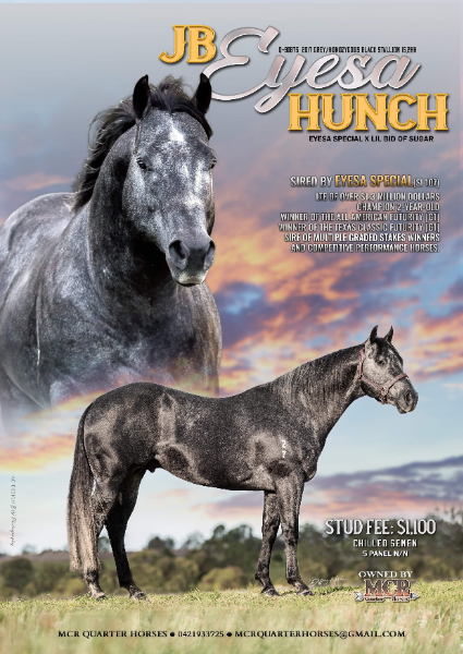 Lot 6 - 1 STALLION BREEDING - JB EYESA HUNCH | AuctionsPlus