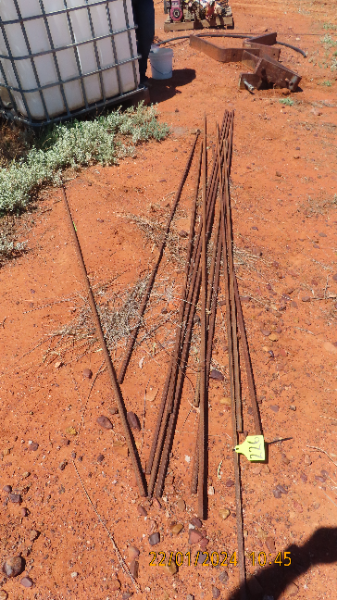 Lot 226 - Rio Rod | AuctionsPlus