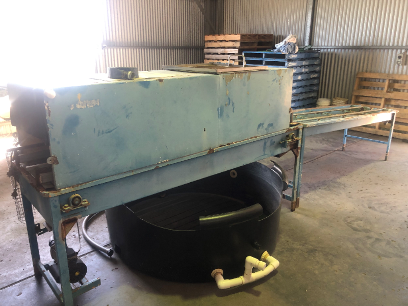 Lot 123 - CHERRY LUG WASHER | AuctionsPlus