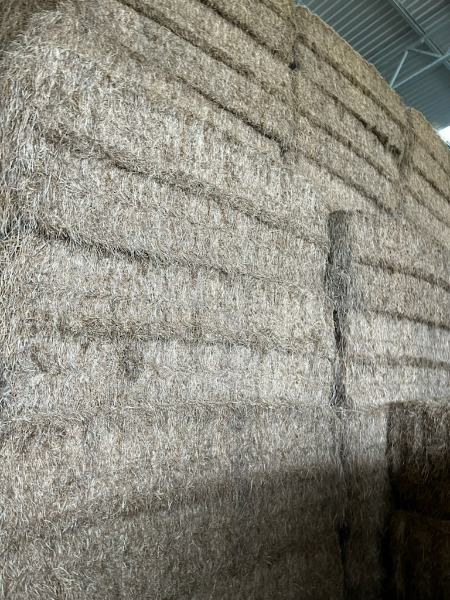 Lot 73 - 42 x Big Squares of Clover & Rye Hay | AuctionsPlus