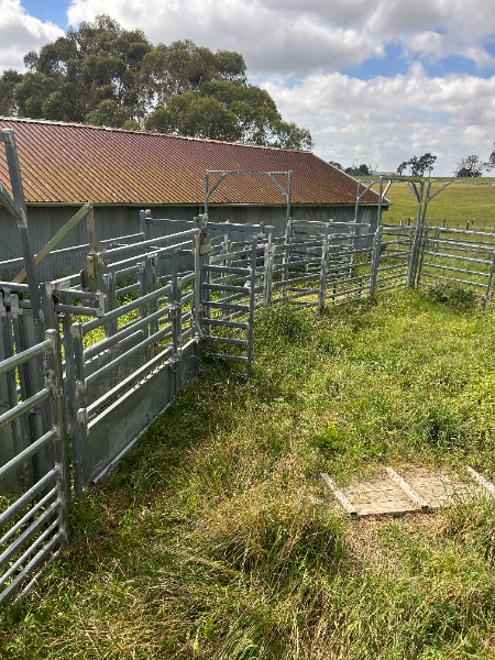 Lot 60 - Cattle Yards | AuctionsPlus