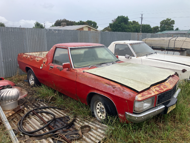 Lot 28 - 1983 WB KINGSWOOD UTE | AuctionsPlus
