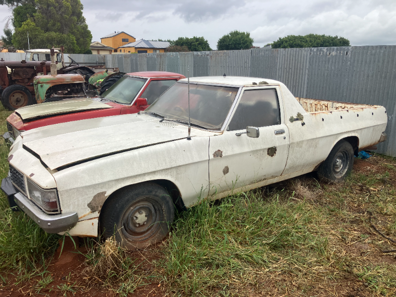 Lot 29 - 1984 WB UTE | AuctionsPlus