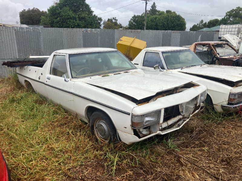 Lot 16 - 1982 WB KINGSWOOD | AuctionsPlus