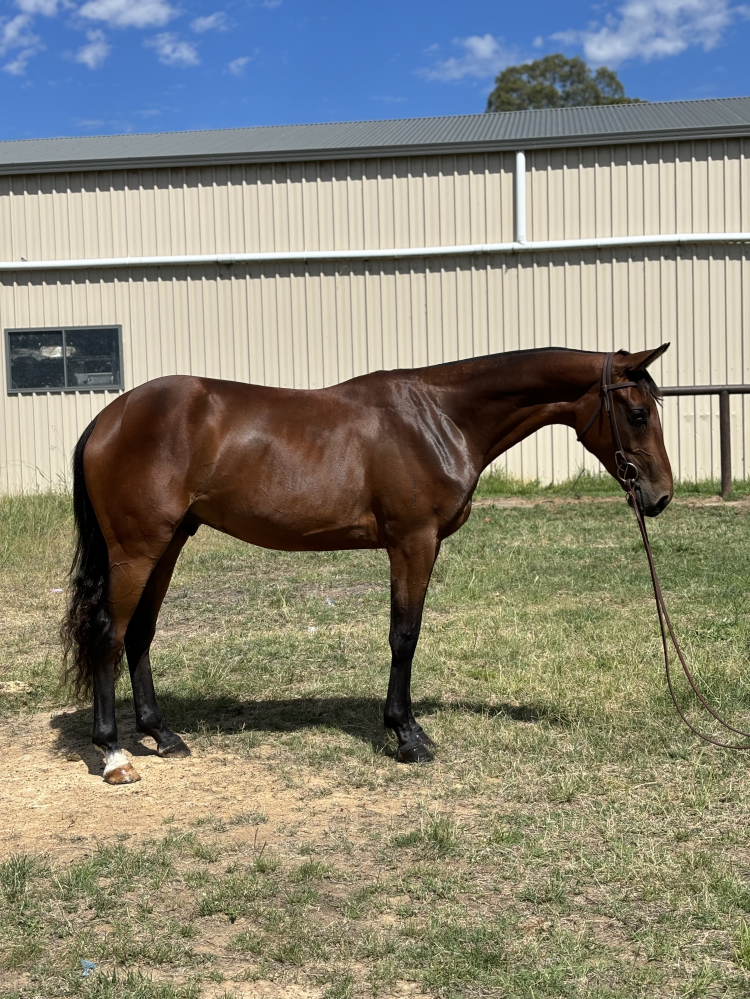 Lot 66 - BOWLIV PEPSI MAX | AuctionsPlus