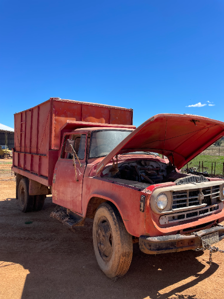 Lot 40 - 1974 Dodge Tipper | AuctionsPlus