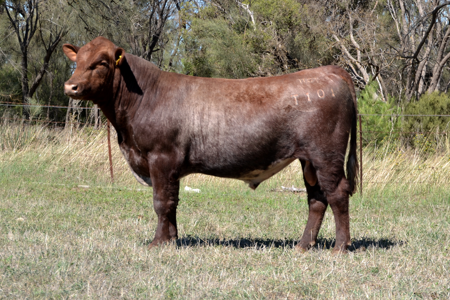 Lot 25 - Bayview Granite T101 | AuctionsPlus